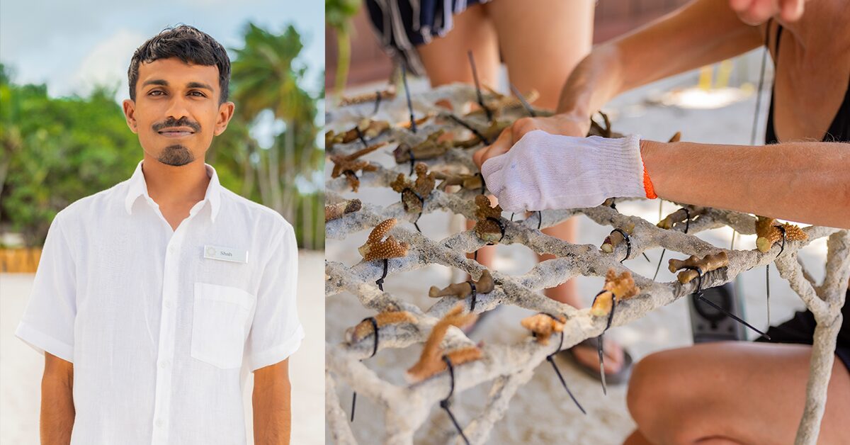 Sun Siyam Iru Fushi Launches Coral Restotation Project Led By New ...